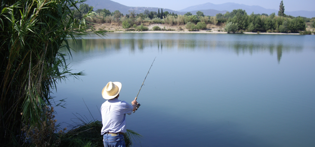 Marotta’s 2012 Gone-Fishing Portfolio – Marotta On Money