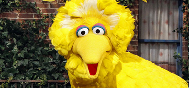 Big Bird is Big Business – Marotta On Money