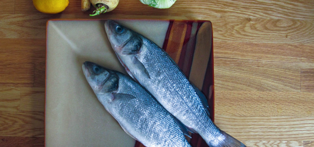 Marotta’s Gone-Fishing Portfolio – Marotta On Money